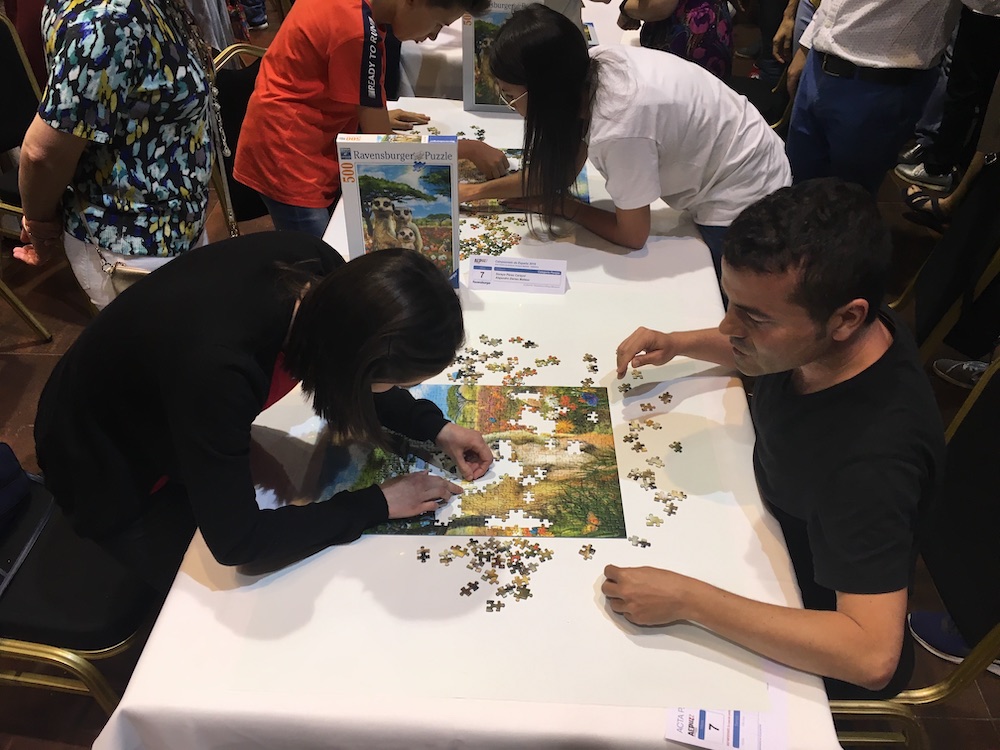 Puzzle Competition in Spain. Saturday, June 15, 2019 - Rare Puzzles