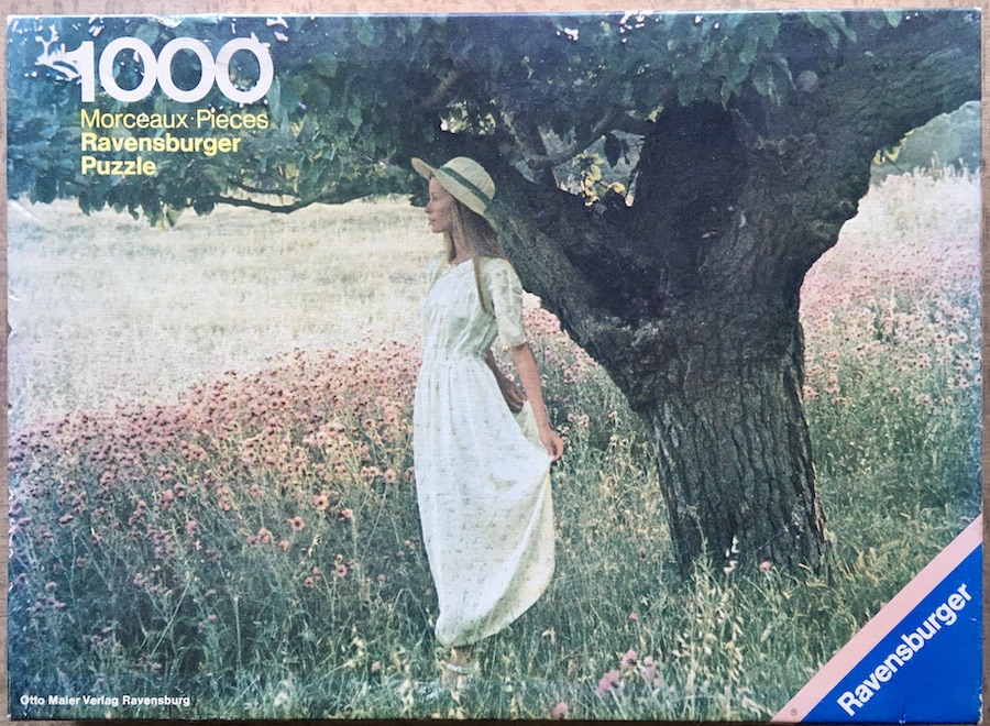 1000, Ravensburger, In the Shade, David Hamilton - Rare Puzzles