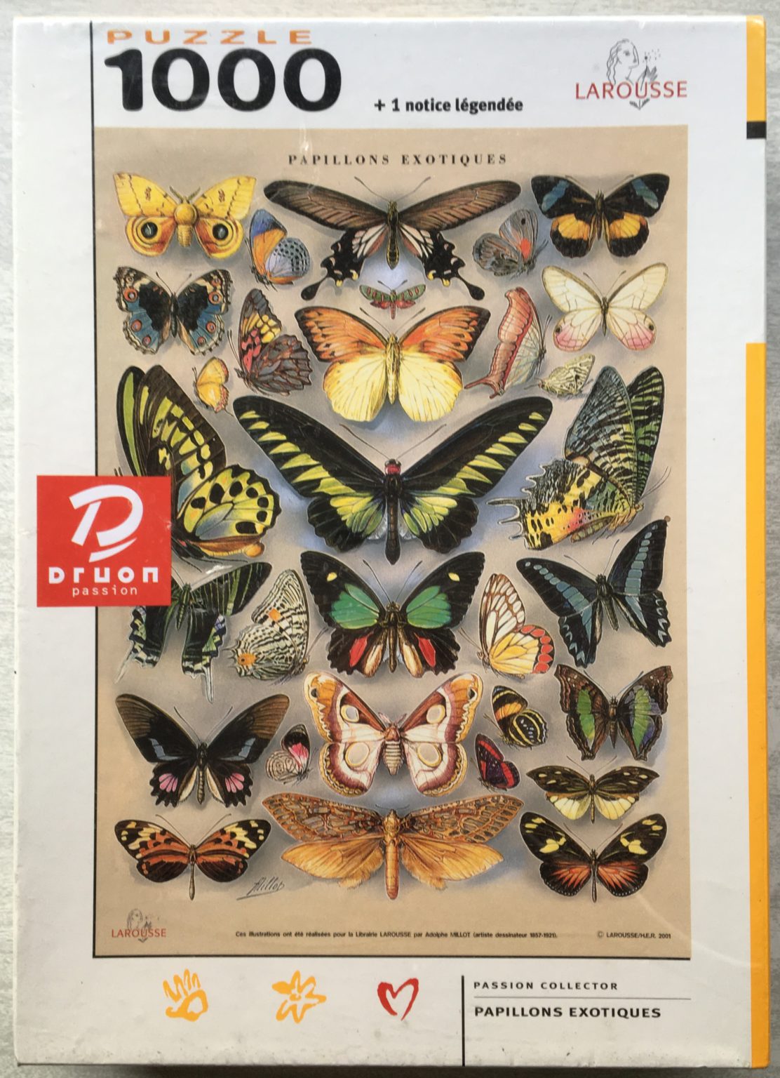 1000, Druon, Exotic Butterflies, Millot - Rare Puzzles
